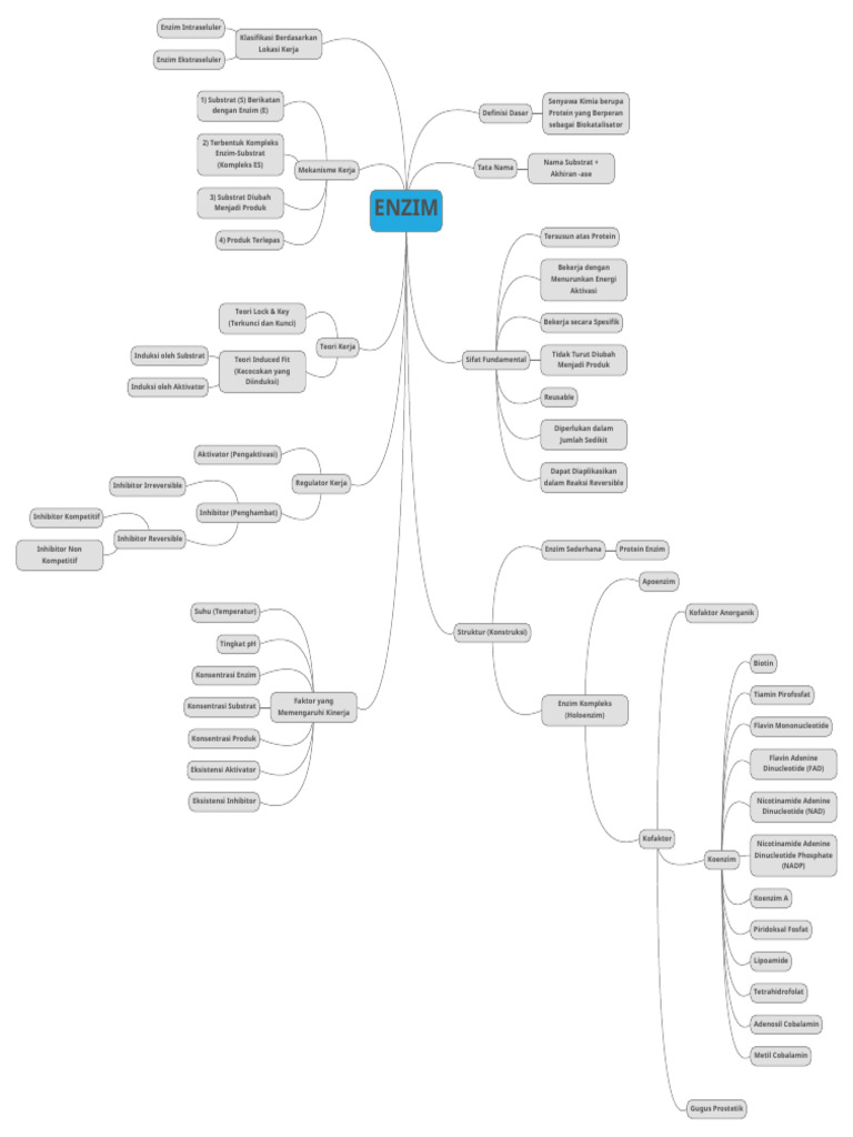 Mind Map Kasar Enzim | PDF