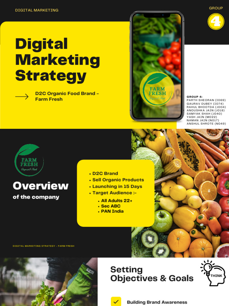 DM Strategy - Farm Fresh | PDF | Search Engine Optimization | Analytics
