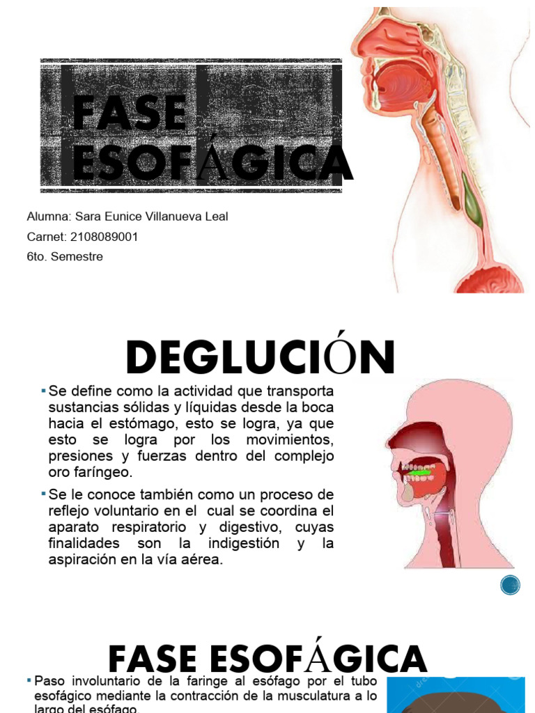Fase Esofágica | PDF