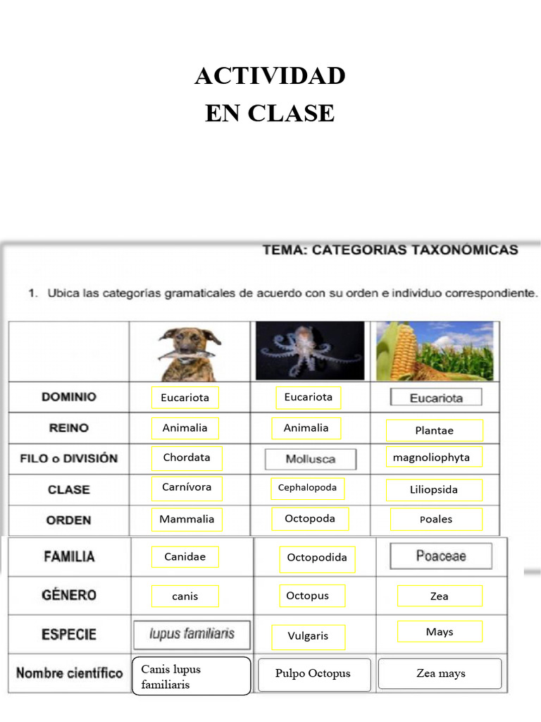 Actividad de Biologia | PDF | Taxonomía (biología) | Organismos