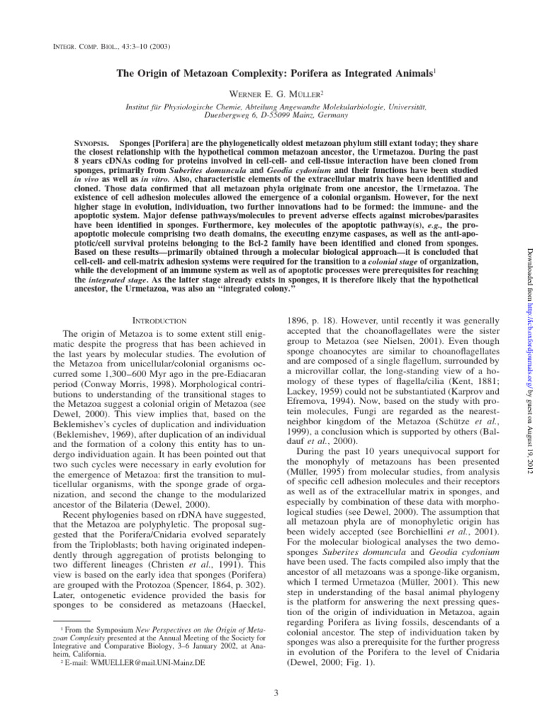 Origin of Metazoan Complexity Porifera As Integrated Animals | PDF ...