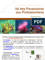 Définition et classification des métazoaires | PDF | Anatomie | Biologie