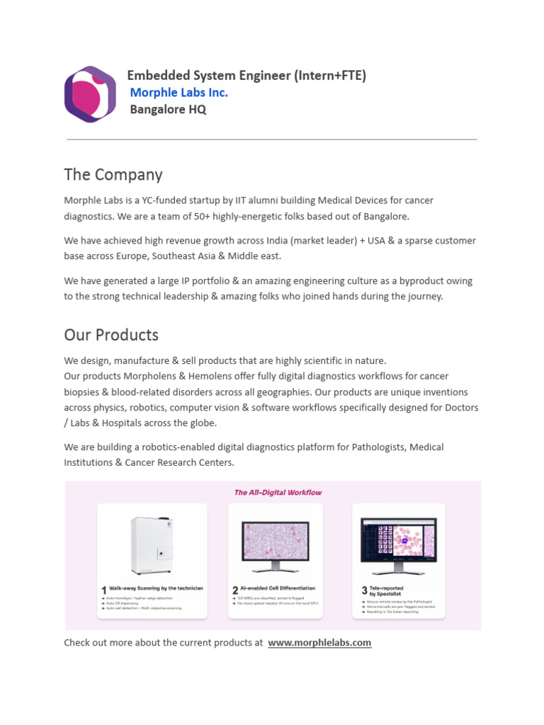 Embedded System Engineering Internship | PDF