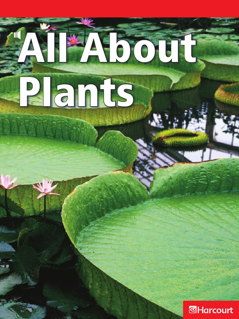 All About Plants | PDF | Plants | Leaf