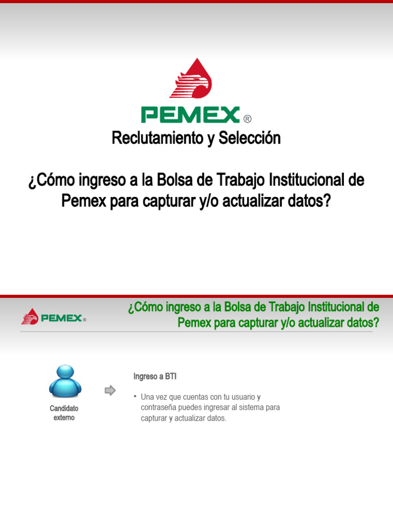 Guía para Ingresar A Capturar o Actualizar Datos en Bolsa de Trabajo | PDF