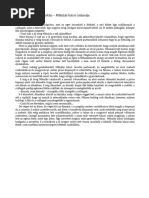 A Mikulás Kesztyűje | PDF