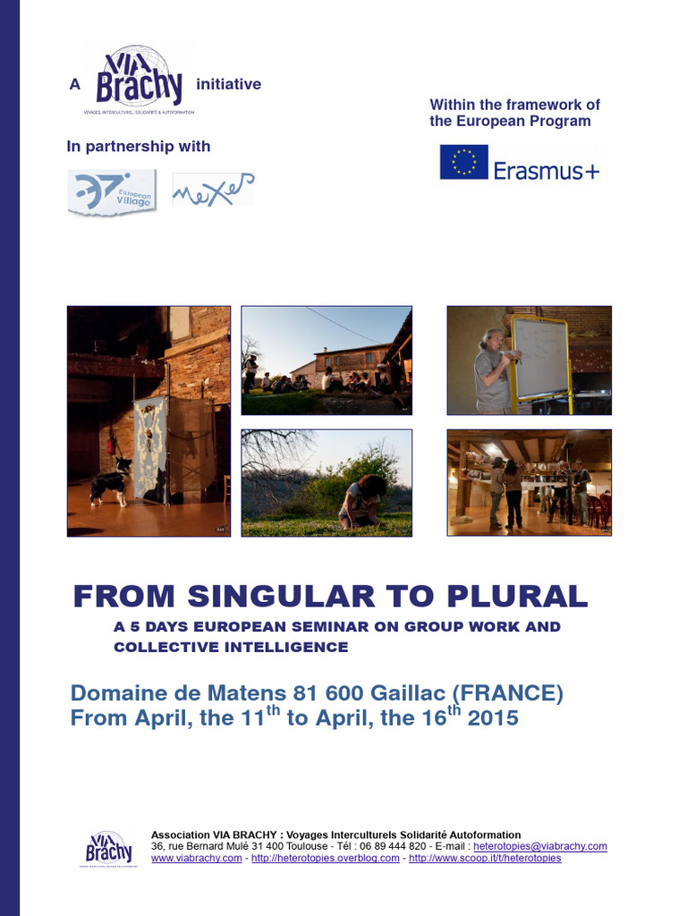 FROM SINGULAR TO PLURAL (EN) Synthesis (Finale) | PDF