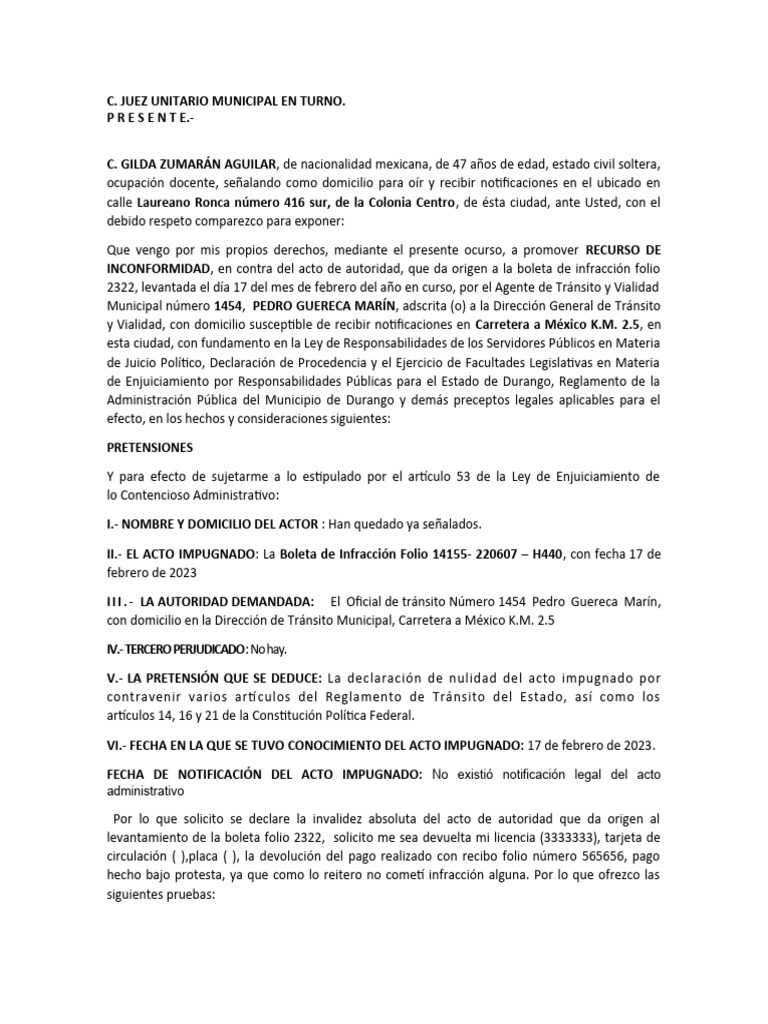 Formato Nulidad Multa | PDF | Gobierno | Justicia