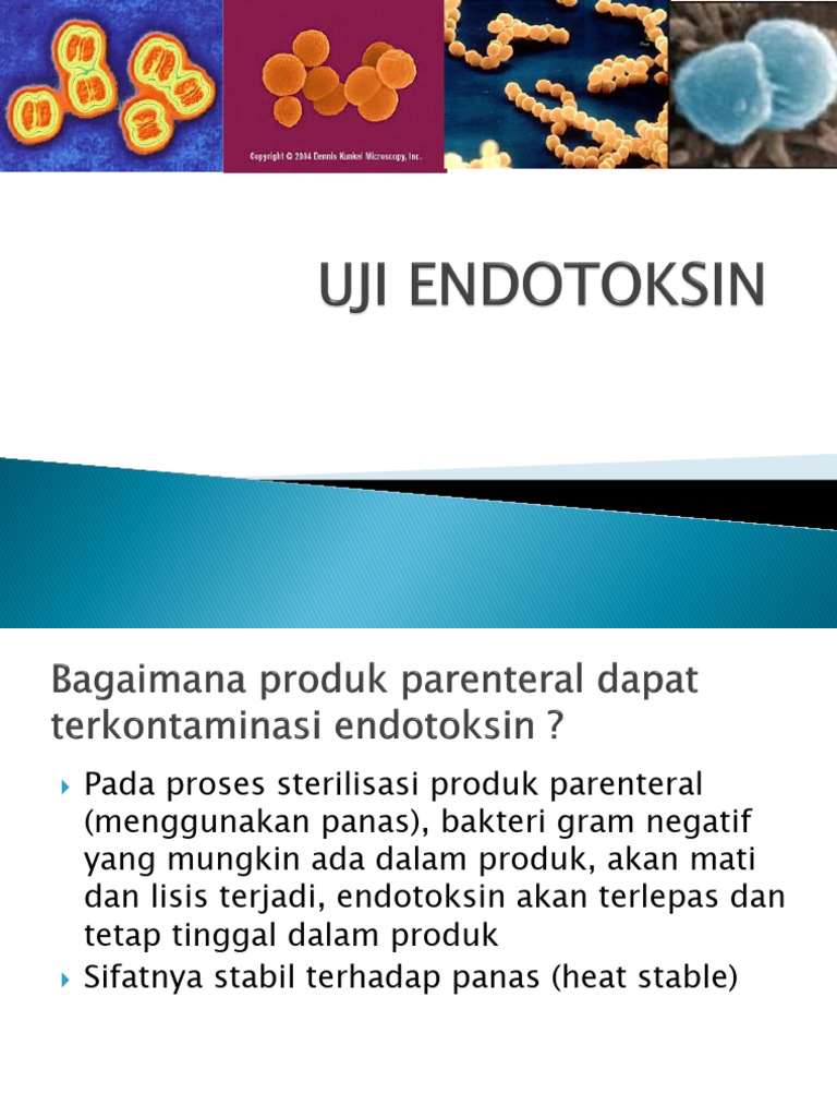 Prosedur Uji Endotoksin LAL | PDF