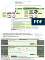 Guía para Llenar el SISUB | PDF