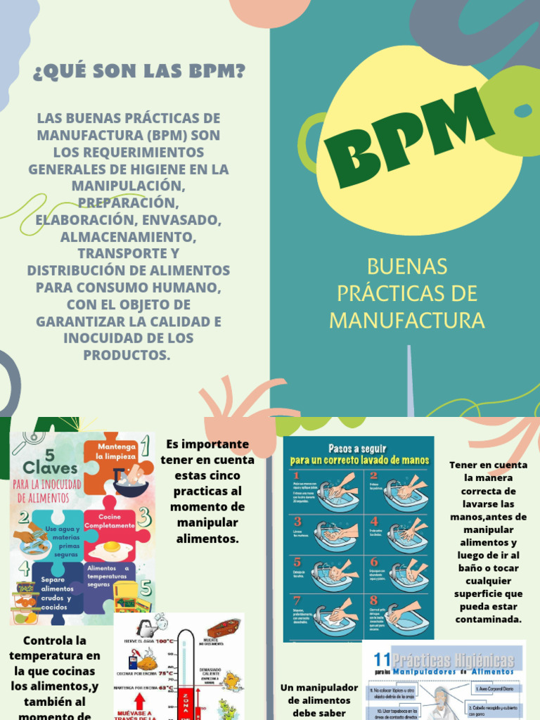Folleto BPM | PDF