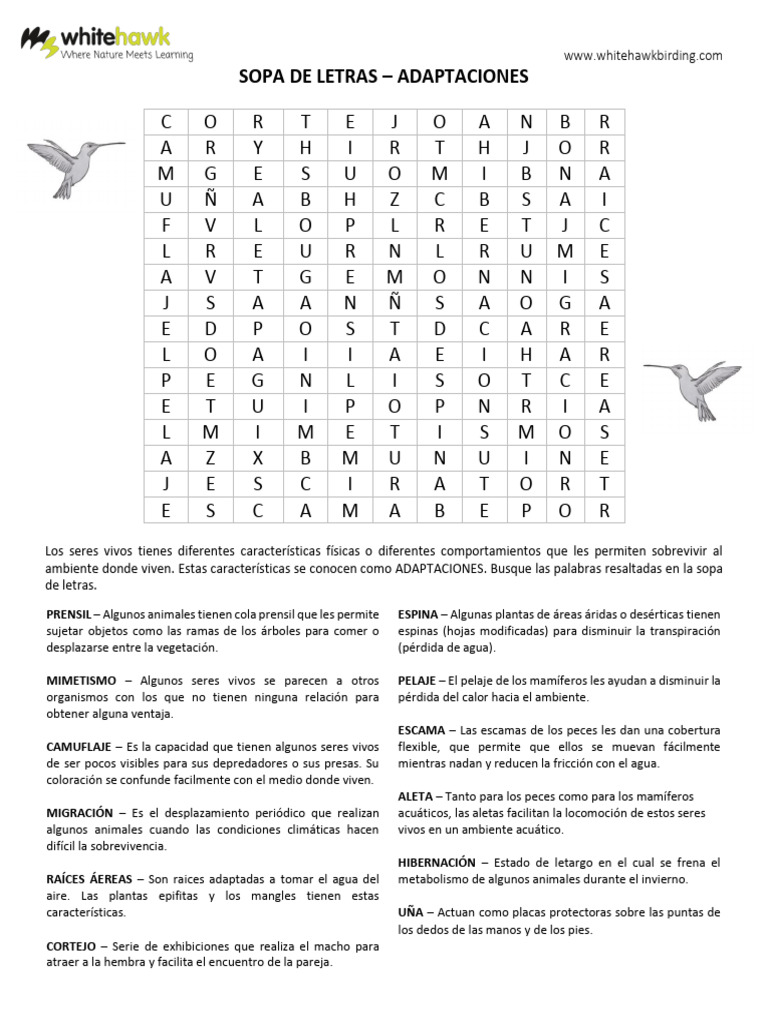 Sopa de Letras Adaptaciones | PDF | Piel | Depredación