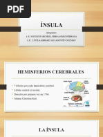 Lobulo de La Insula | PDF | Corteza Insular | Lóbulo temporal