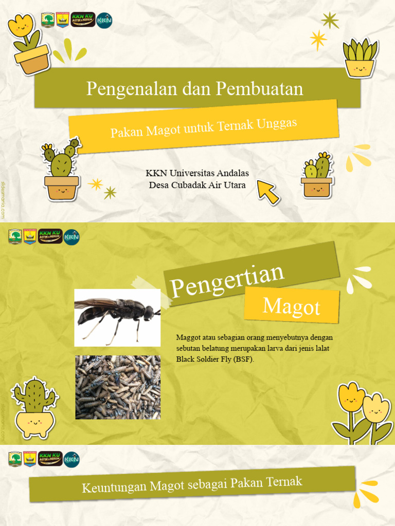 Pakan Ternak Unggas: Manfaat dan Cara Magot | PDF