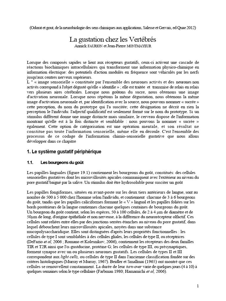 Système gustatif chez les vertébrés | PDF | Goût | Cortex insulaire