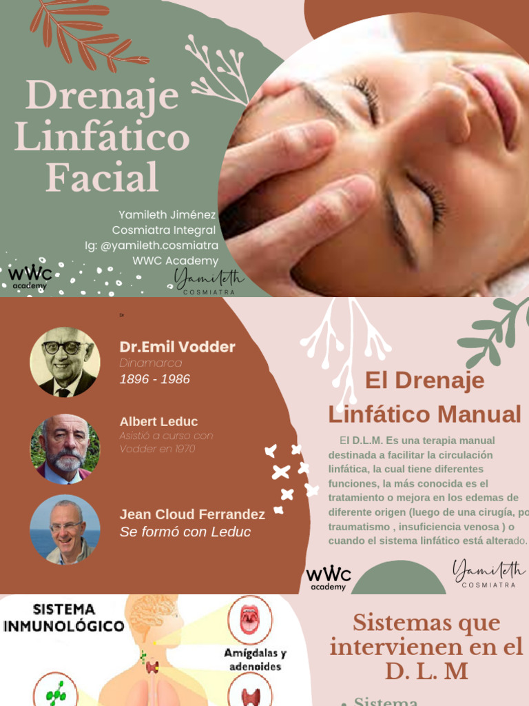 Drenaje Linfático Facial | PDF