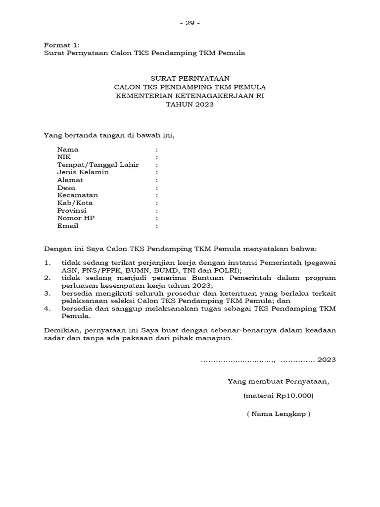 Surat Pernyataan Calon TKS Pendamping TKM Pemula 2023 | PDF