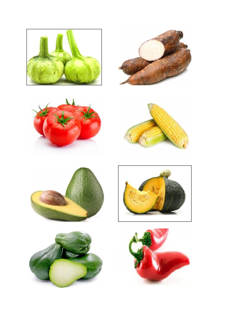 Guicoy Yuca Tomate Elote Aguacate Ayote Guisquil Chile | PDF