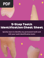 Dental Anatomy: Tooth Classification Guide | PDF | Technology ...