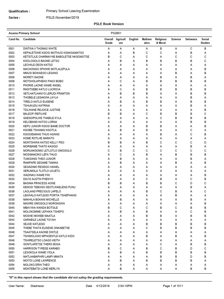 PSLE 2019 Results Overview | PDF | Educational Institutions | Science