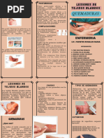 Quemaduras Faciales y Signos de Flogosis | PDF | Quemar | Inflamación