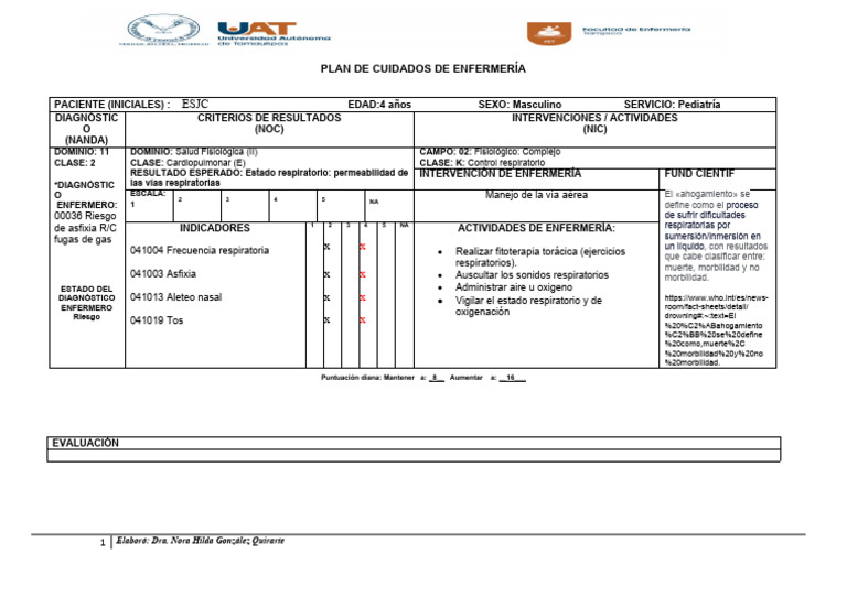 Formato de Plan de Cuidados Fet-Uat-Ii | PDF | Sistema respiratorio | Epidemiología