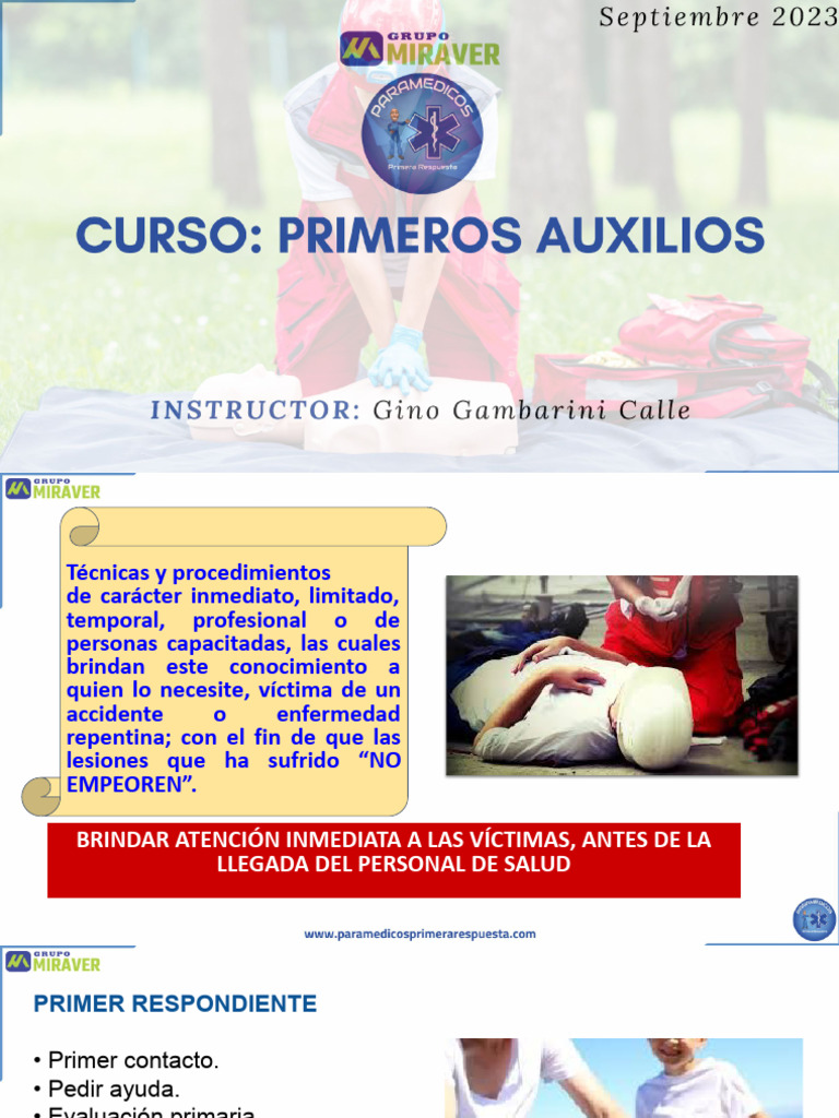 Primeros Auxilios - Curso Septiembre 2023 | PDF | Reanimación cardiopulmonar | Enfermedades y ...