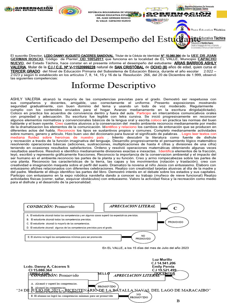 Informe Descriptivo Tercer Grado 2023 | PDF | Educación primaria ...