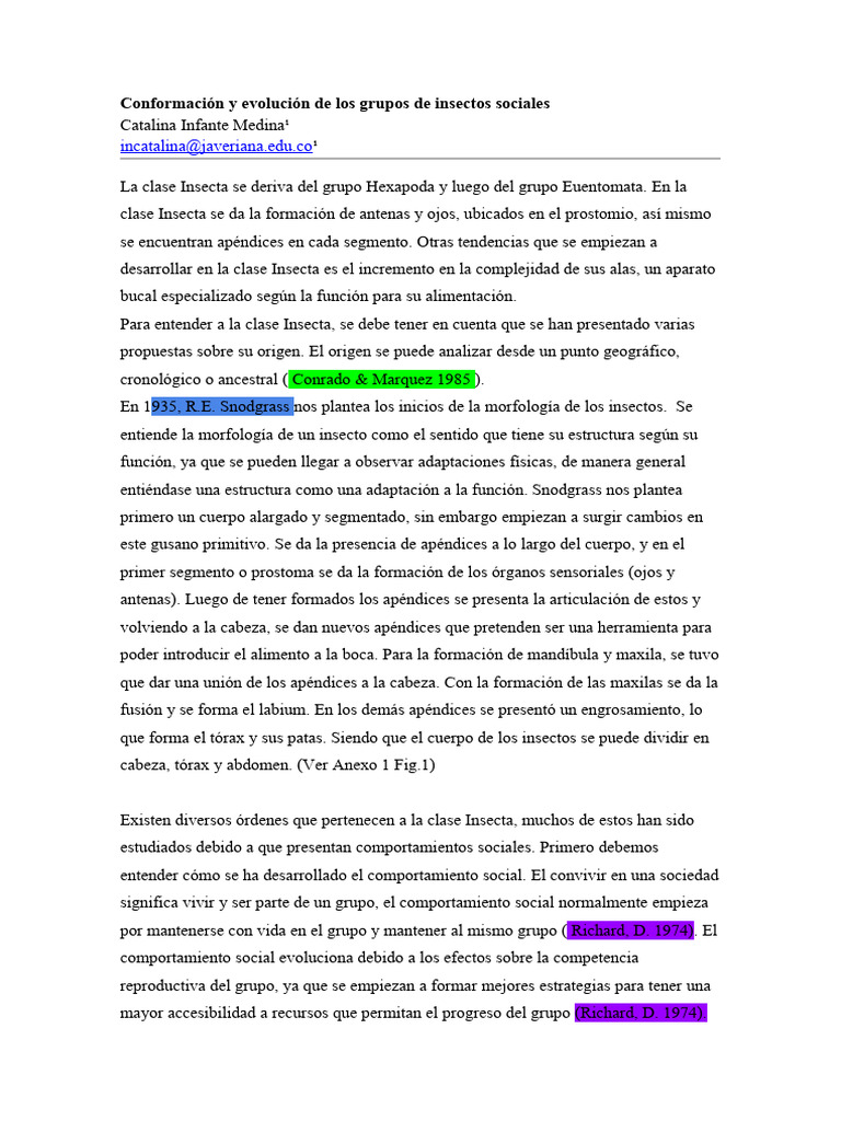 Evolución de Insectos Sociales | PDF | Insectos | Himenópteros