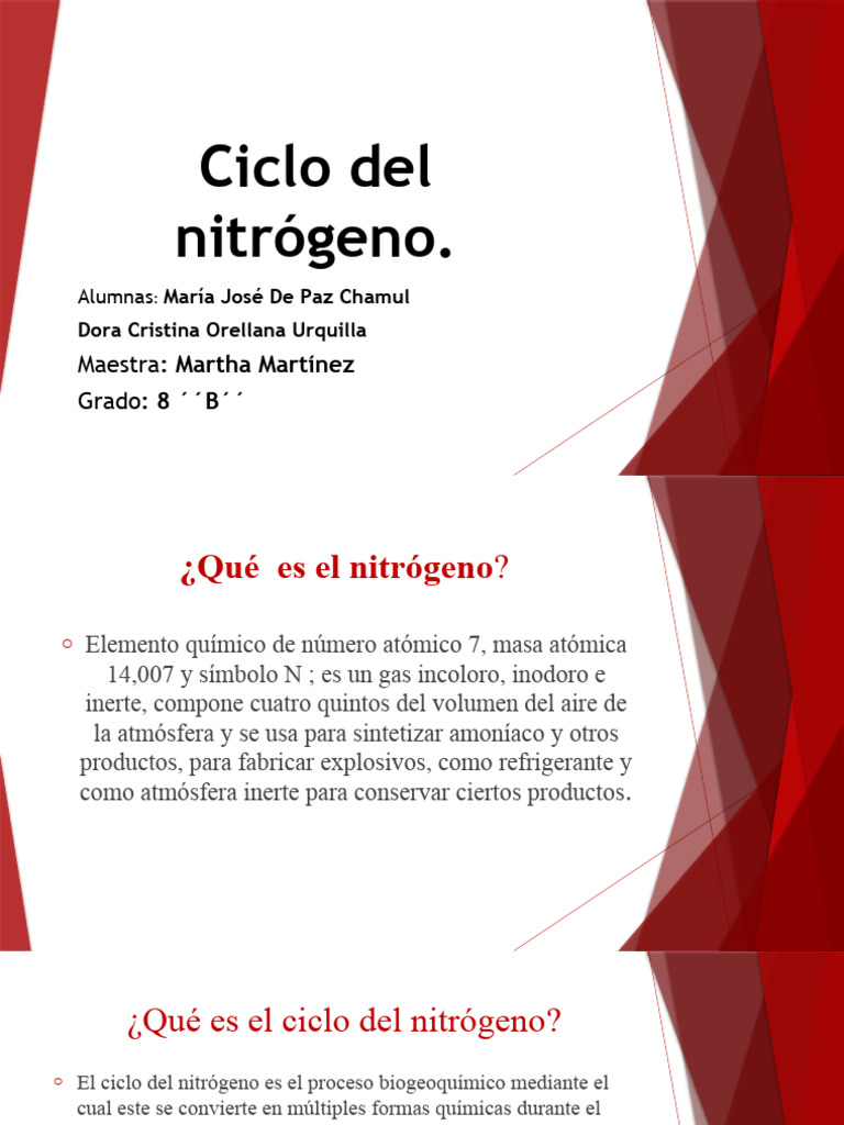 XDDD | PDF | Nitrógeno | Nitrato