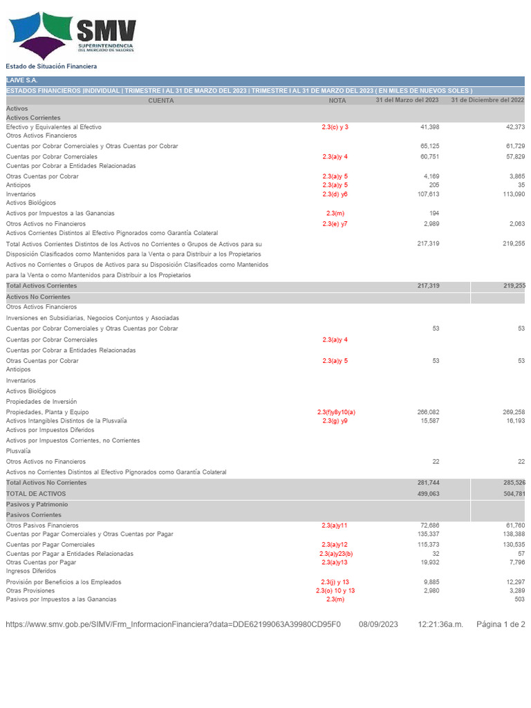 Reporte Detalle de Información Financiera (2).WORD | PDF