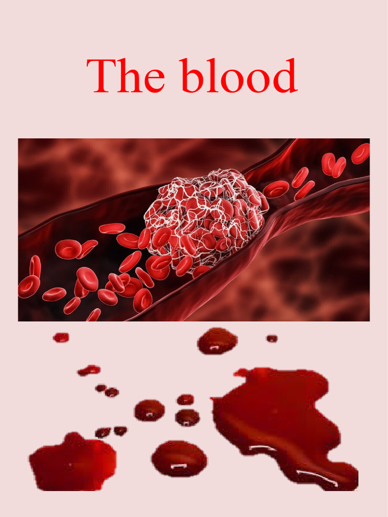The Blood 1 | PDF | Blood Type | Blood Cell