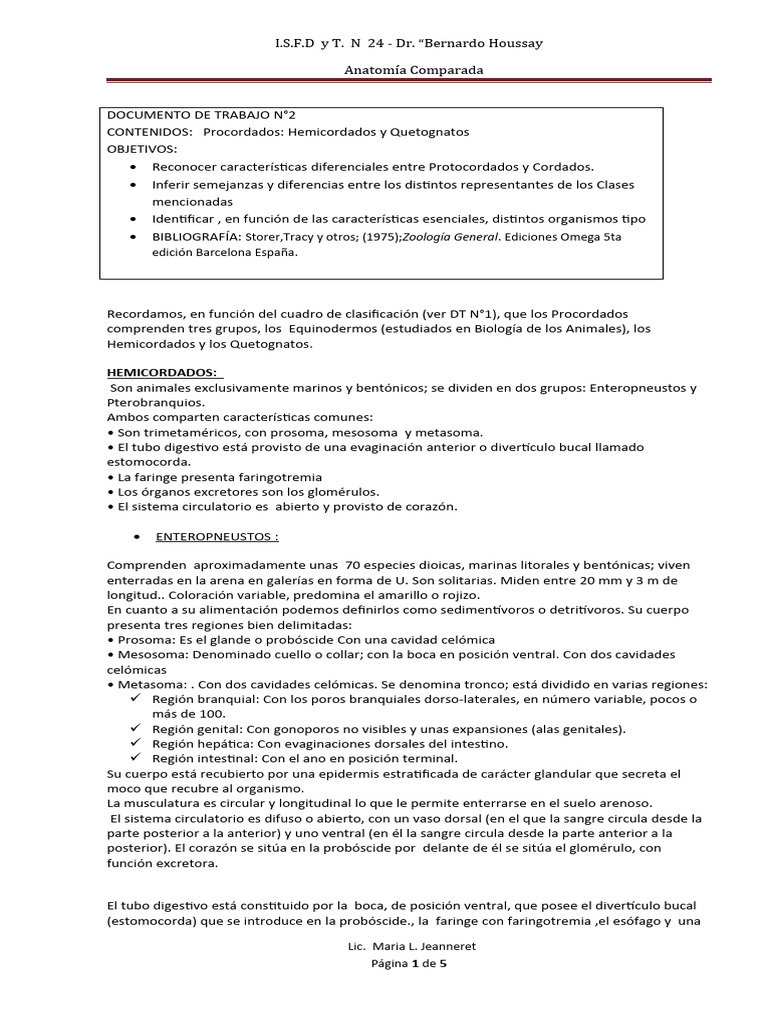 Anatomía de Procordados: Hemicordados y Quetognatos | PDF | Anatomía ...