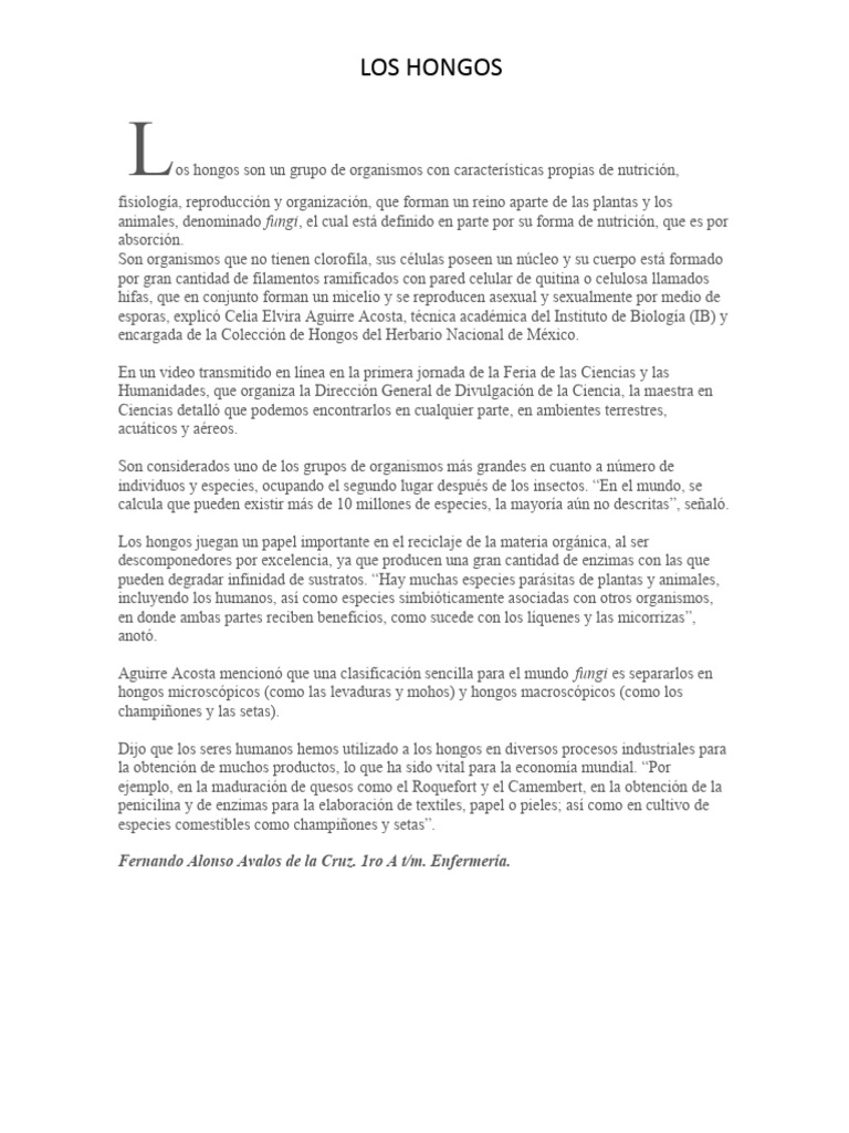 Tarea de Informatica - Fernando Avalos | PDF