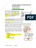 Resumen Capitulo 46 Guyton | PDF | Sinapsis | Neurona
