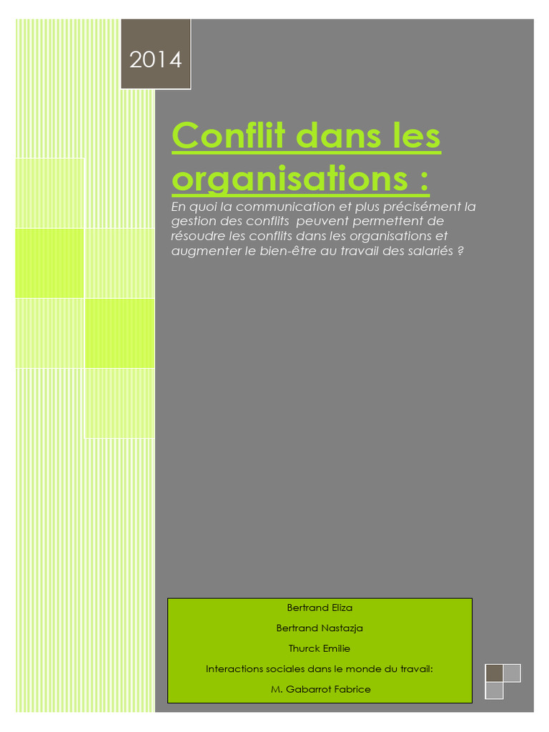 Gestion Des Conflits (Organisations) 2 | PDF