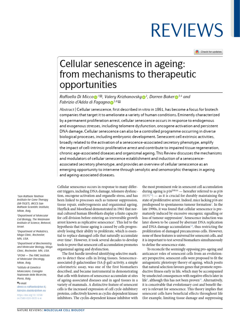 Cellular Senescence in Ageing | PDF