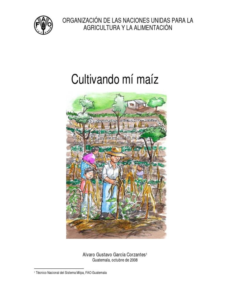 Documento Cultivando Mi Maíz (1) .081108 | PDF