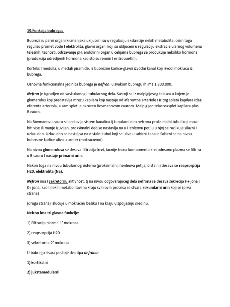 19 Bubreg | PDF