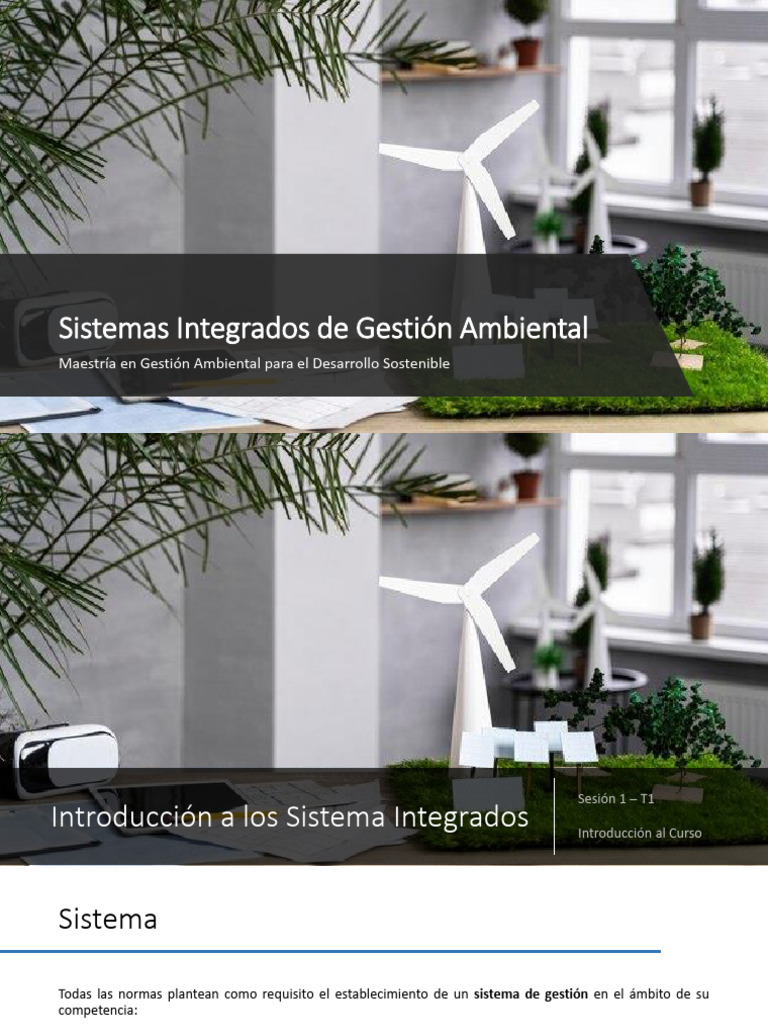 Sistemas Integrados De Gestión Pdf