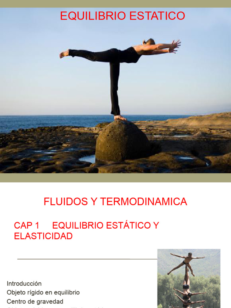 Ejemplos De Equilibrio Estático Pdf Fuerza Centro De Masa