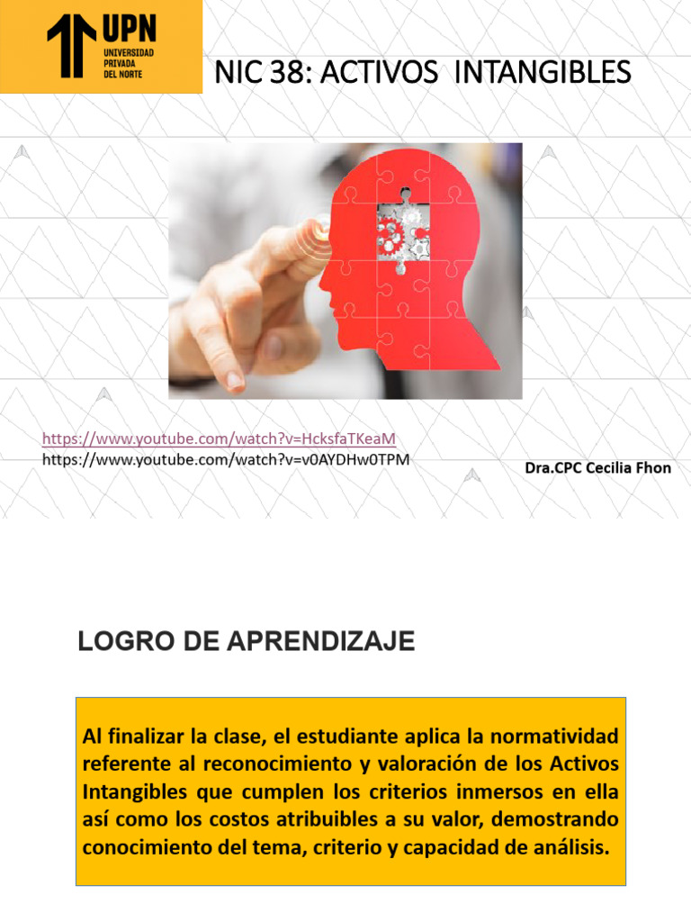 Nic 38 Activo Intangible | PDF | Activo intangible | Economias