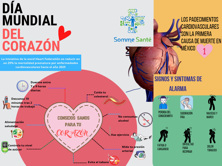 Flyer DIA MUNDIAL DEL CORAZÓN | PDF