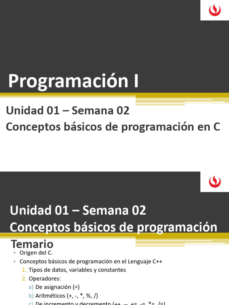 Conceptos Basicos de Programacion | PDF | C (lenguaje de programación) | C