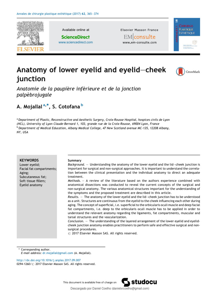 Anatomy of Lower Eyelid and Eyelid-Cheek Junction | PDF | Vein | Human ...