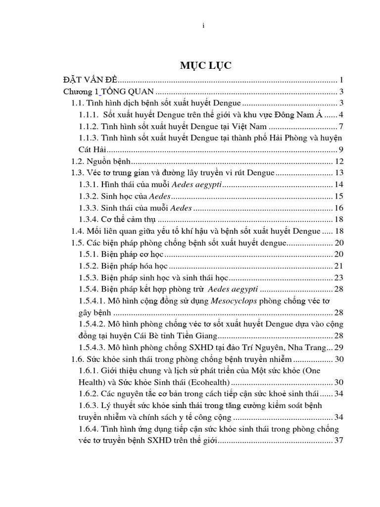 Luan An NCS Tran Cong Tu | PDF