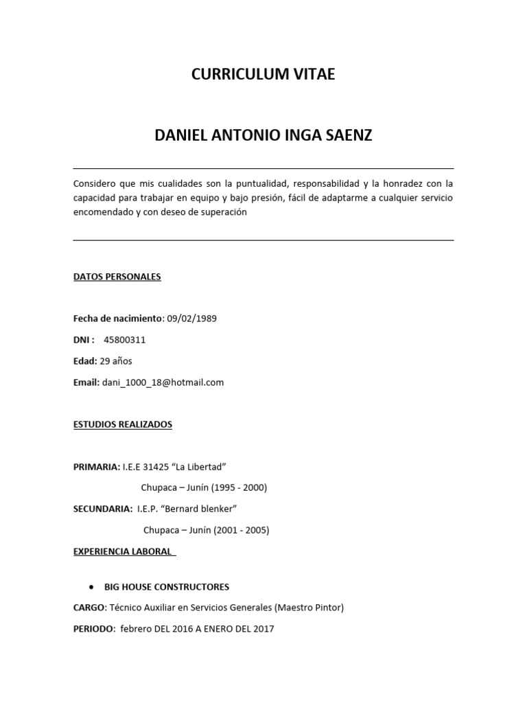 CURRICULUM VITAE Daniel Inga Sanez Pintor | PDF