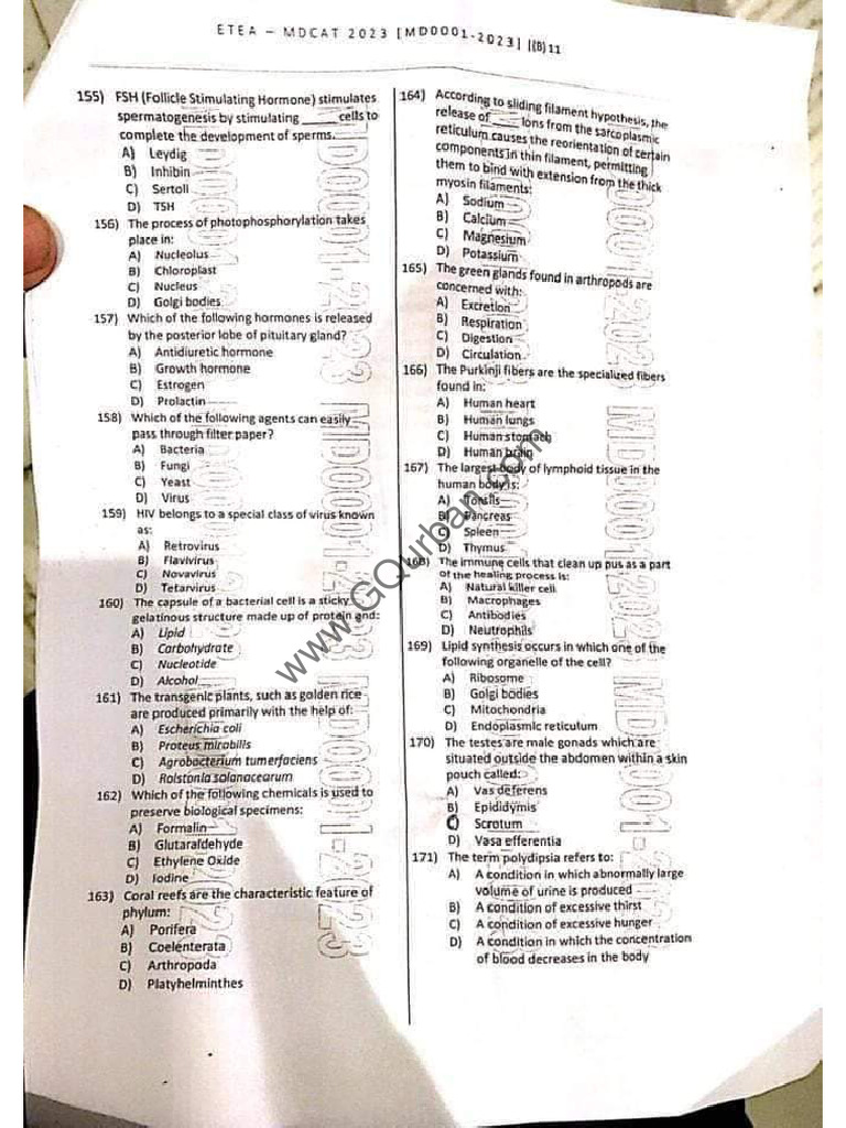 ETEA 2023 Full Paper | PDF