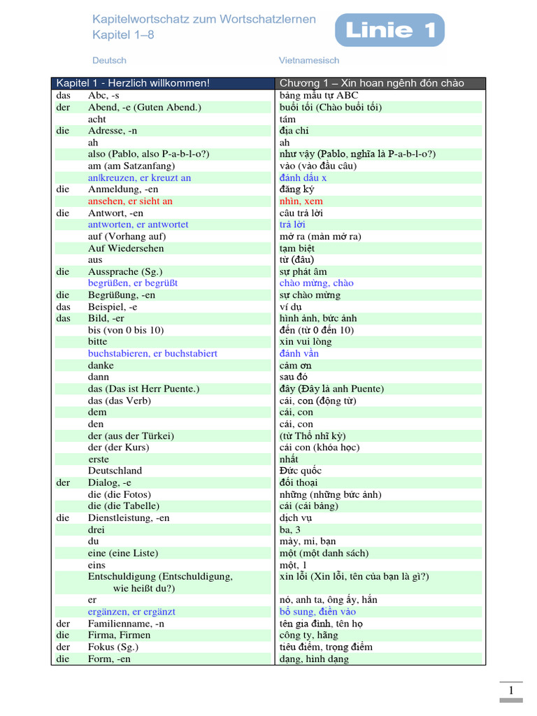 Linie1_A1.1 Vokabel Duc-Viet | PDF