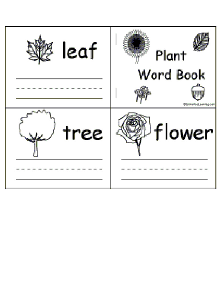 Plant Word Book | PDF
